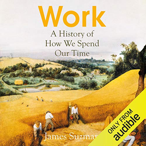 Amazon.com: Work: A History of How We Spend Our Time (Audible Audio ...