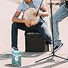 Amazon.com: Glass Tip Jar for Bartenders, Musicians, and Restaurants ...