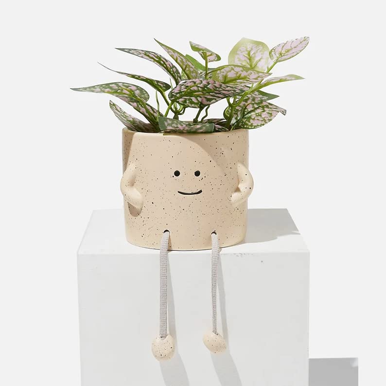 Amazon.com : SparkDazzle Smiling Face Flower Pot, Sitting Indoor Plant ...