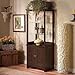 Amazon.com: Bush FURNITURE Buena Vista Tall Library Storage Cabinet ...