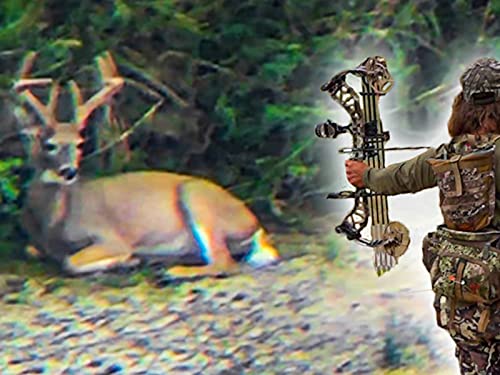 Top 10 Hunting Shows On Tv of 2022 - Katynel