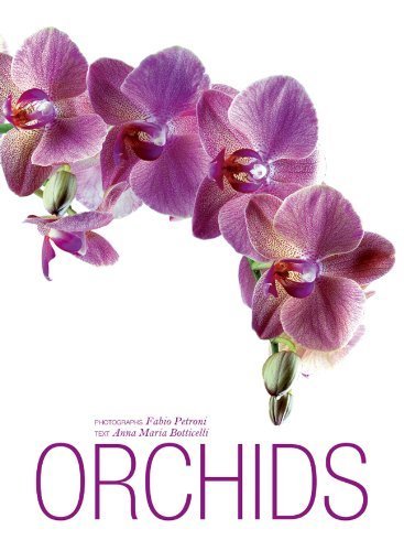 Amazon.com: Orchids: 9788854407657: Botticelli, Anna Maria, Petroni ...