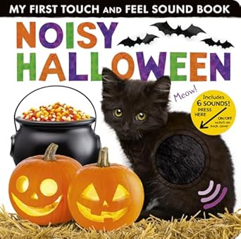 Amazon.com: Noisy Halloween: My First Touch and Feel Sound Book ...