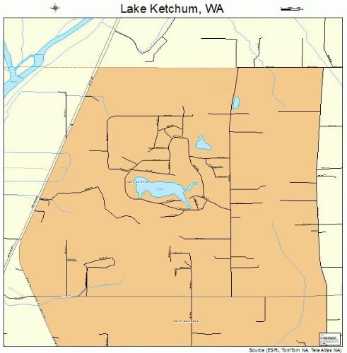 Amazon.com: Large Street & Road Map of Lake Ketchum, Washington WA ...