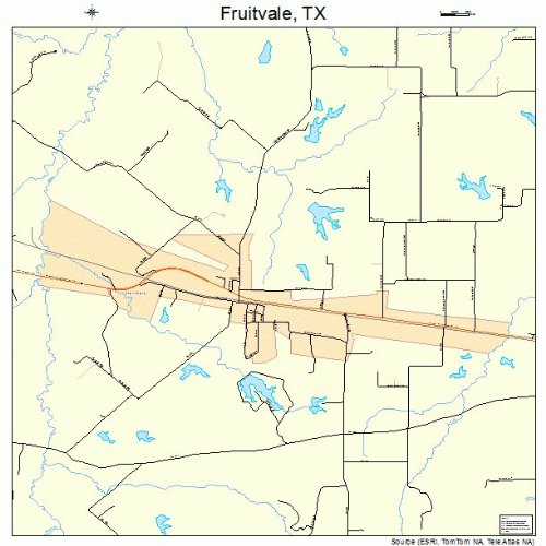 Amazon.com : Large Street & Road Map of Fruitvale, Texas TX - Printed ...