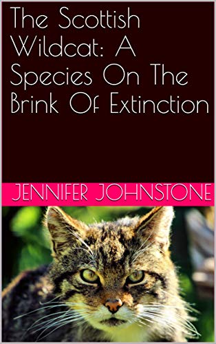 The Scottish Wildcat: A Species On The Brink Of Extinction eBook ...