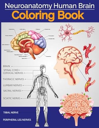 Amazon.com: Neuroanatomy Human Brain Coloring Book: Self-Test Coloring ...