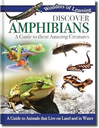 Discover Amphibians: A Guide to These Amazing Creatures : Amazon.fr: Livres