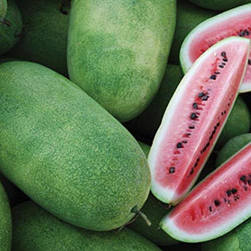 Watermelon Background Grey 33 Types Of Watermelon (With Photos!)