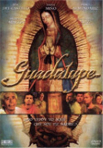 Amazon.com: JOYDIVISION Guadalupe (Widescreen) Product Care ...
