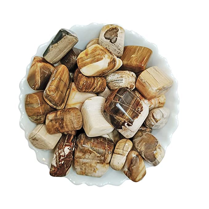 Natural AAA Grade Petrified Wood Tumble Pebbles Stones for Reiki ...