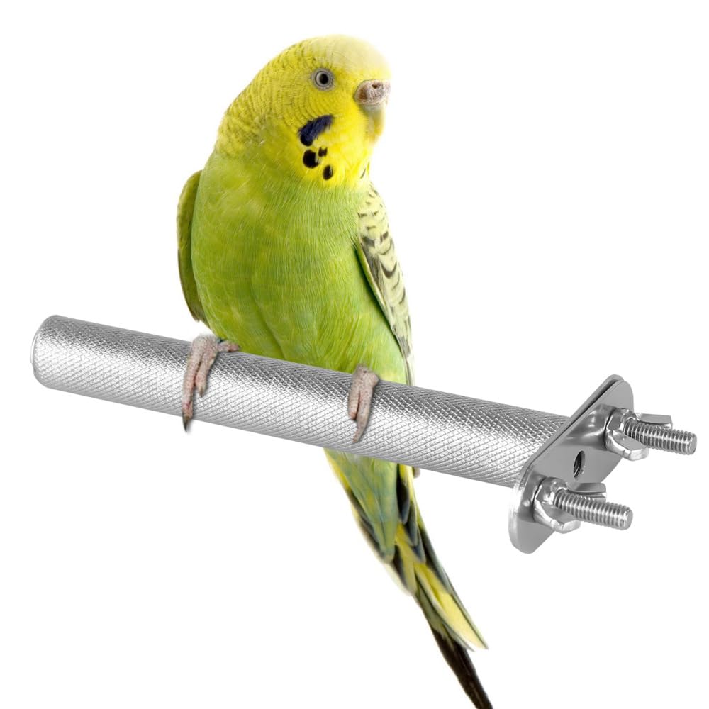 Stainless Steel Perch For Budgies Macaws Bird Stainless Steel Perch ...