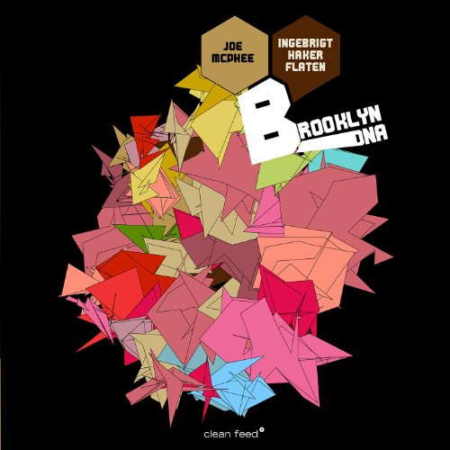 Amazon.com: Brooklyn DNA : Joe McPhee/Ingebrigt Haker Flaten: Digital Music