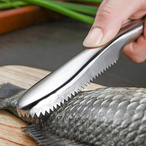 KitchenNeeds 1PC Stainless Steel Cleaning Fish Scale Knife Fish Skin ...