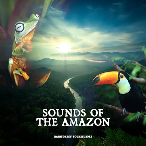 Sounds of the Amazon di Rainforest Soundscapes su Amazon Music - Amazon.it
