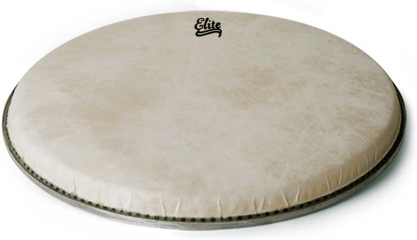 Amazon.com: StewMac Elite Banjo Head, 11" Inch Diameter, High Crown ...
