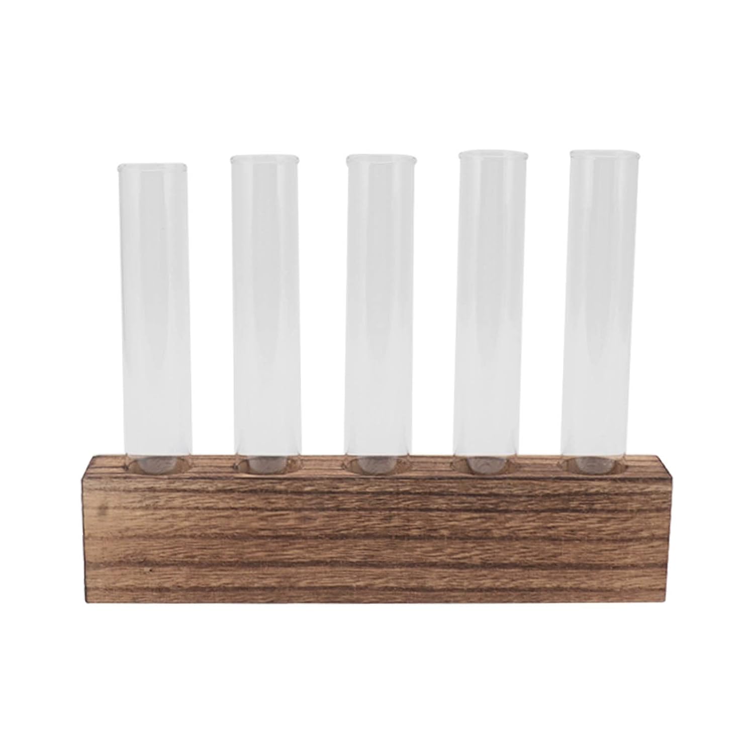 Rendon Plant Propagation Tubes, Visible Decorative Plant Propagation ...