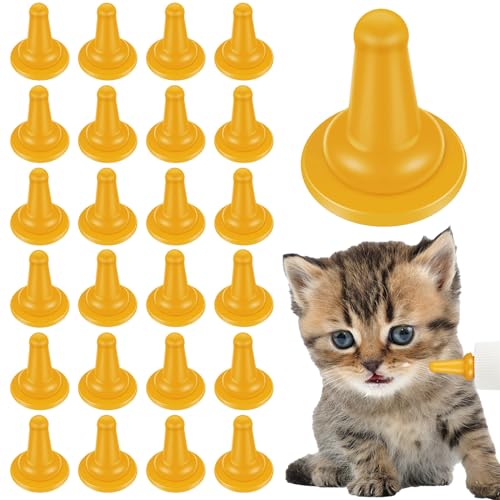 10 Best Pacifiers for Kittens That Will Keep Your Feline Friend Happy ...