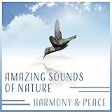 【発売日：2017年07月06日】・製造元:Mat Music Productions