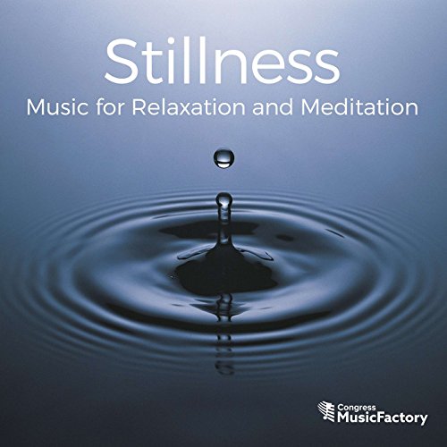 Amazon.com: Stillness: Music for Relaxation and Meditation : Congress ...