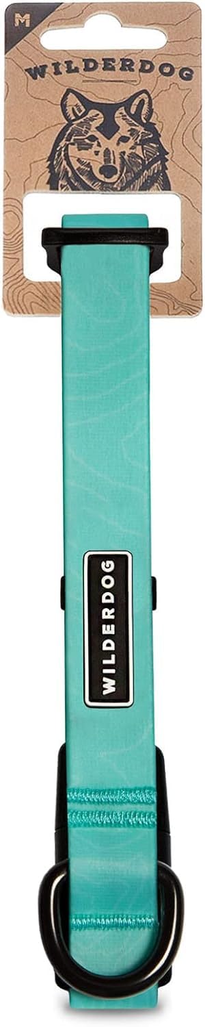 7 Best High Quality Dog Collars | Rip Free & Breathable Picks