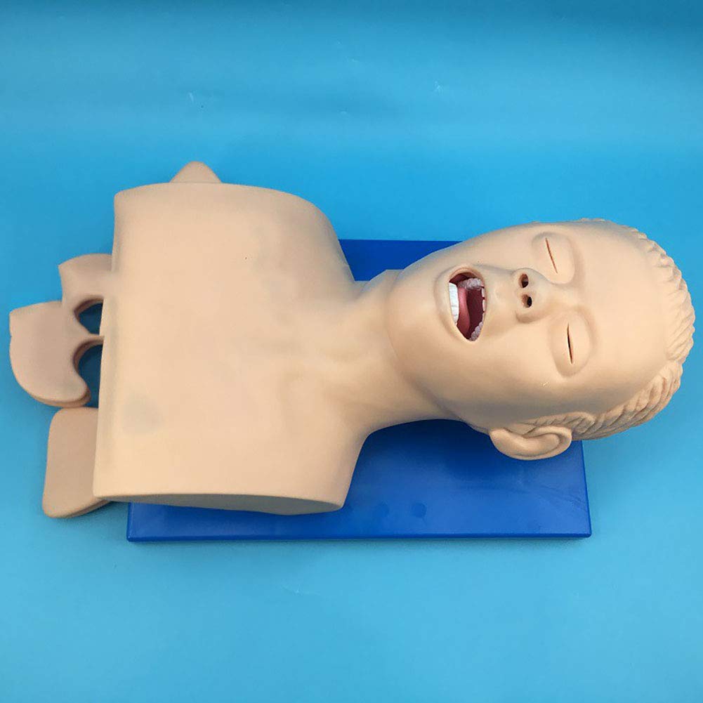 Buy UIOF Electronic Tracheal Intubation Model Training Simulator Model ...