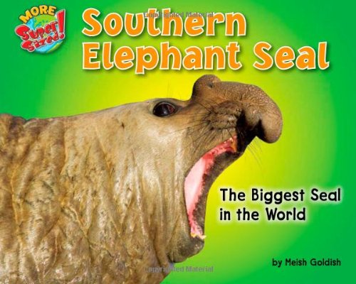 Southern Elephant Seal: The Biggest Seal in the World (More Supersized ...