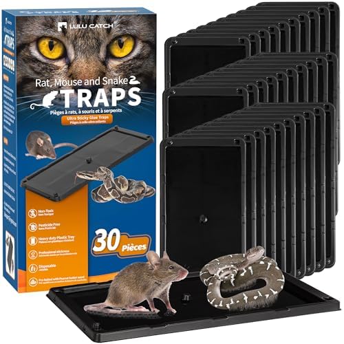 Amazon.com : LULUCATCH Glue Mouse Traps Indoor for Home 30 Pack, Pre ...