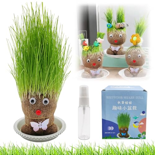 Amazon.de Best Sellers: The most popular items in Grow Your Own Kits