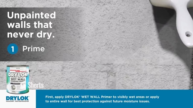 Watch DRYLOK Original Waterproofer & Wet Wall Video on Amazon Live