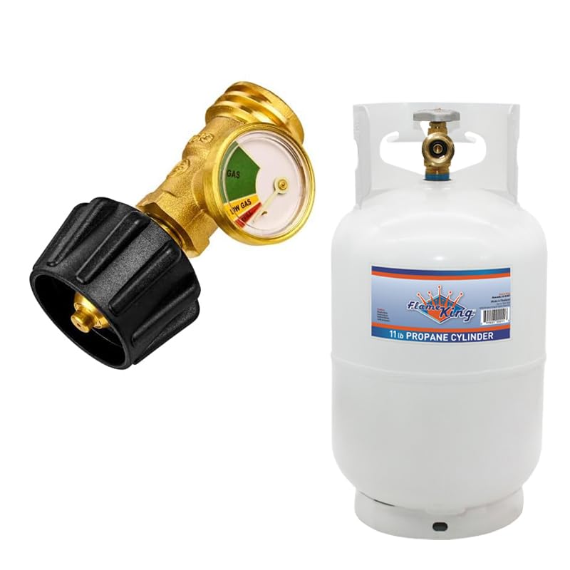 Amazon.com: Flame King 10LB Steel Propane Tank with Type 1 OPD ...