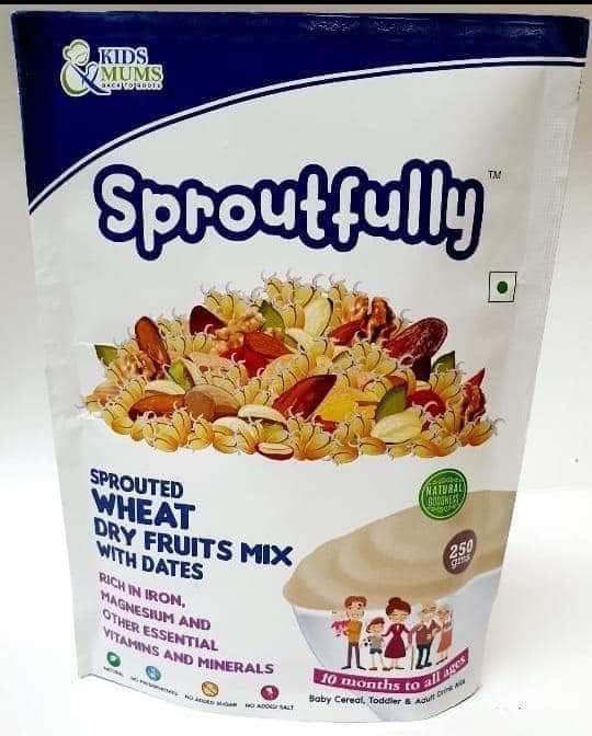Sproutfully Sprouted Wheat Dry Fruit Mix 200g - Starter Pack : Amazon ...