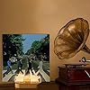 Amazon.com: YuanDian Light up Now Playing Vinyl Record Stand, Now ...