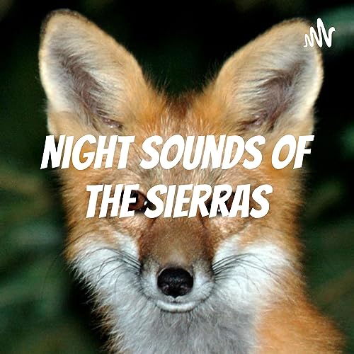 Amazon.com: Night Sounds of the Sierras : Night Sounds: Books