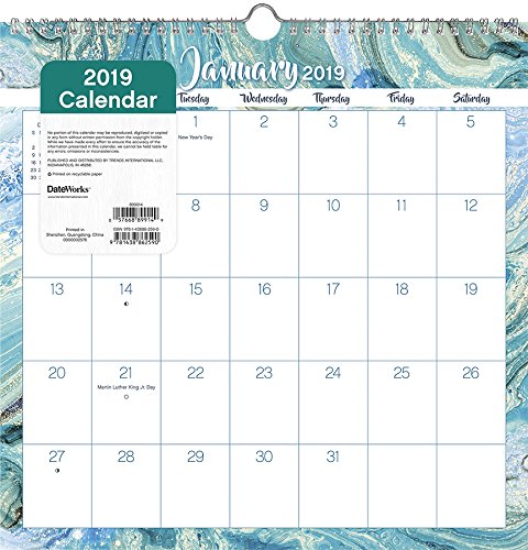2019 Frosted Spiral Wall Calendar: Trends International: 9781438862590 ...