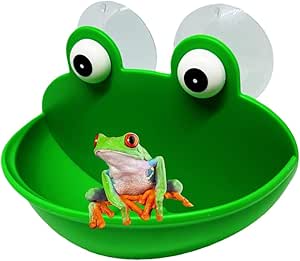 Amazon.com: Tree Frog Habitat Decor Dish Holder with Suction Cups ...
