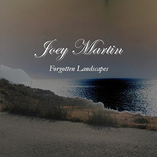 Amazon.com: Forgotten Landscapes : Joey Martin: Digital Music