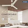 Buy Crompton Energion Hyperjet 1200mm BLDC Ceiling Fan | Point Anywhere ...