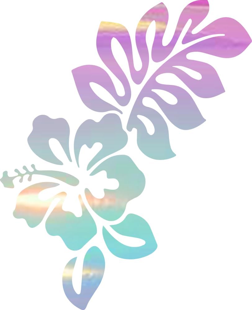 Amazon.com - SMJ Designs Hibiscus Flower (Kalidescope) Car Stickers ...