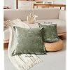 Amazon.com: COCOPLOCEUS Luxurious Velvet Euro Shams Decorative Throw Pillow Covers 26x26 Set of ...