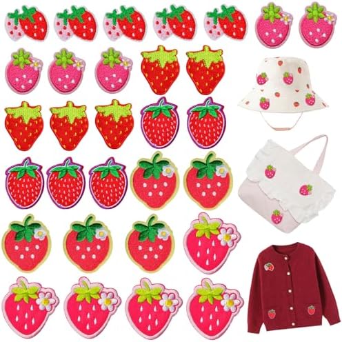 Amazon.com: Hanycon 30PCS Strawberry Embroidered Iron on Patches Red ...