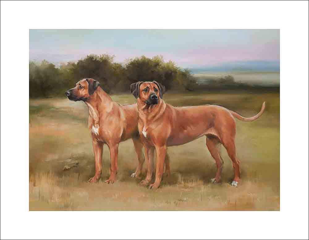 Amazon.com: Rhodesian Ridgebacks – by Jacqueline Stanhope. Fine art and ...