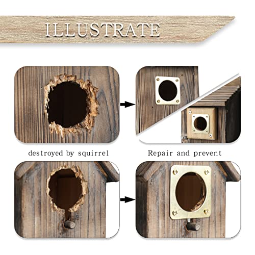 Snapklik.com : 6-Piece Metal Bluebird House Predator GuardMetal ...