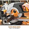 Evolution Power Tools RAGE3 10-Inch Multipurpose Cutting Compound ...