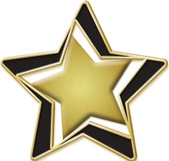 Amazon.com: Star Recognition Pin, Star Recognition Lapel Pin Button ...