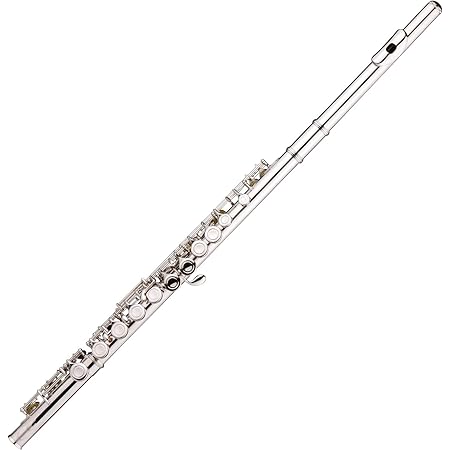 Amazon.co.jp: ROWCES Flute Woodwind Instrument Flute, 16 Holes, C Key ...