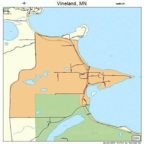Amazon.com: Large Street & Road Map of Vineland, Minnesota MN - Printed ...