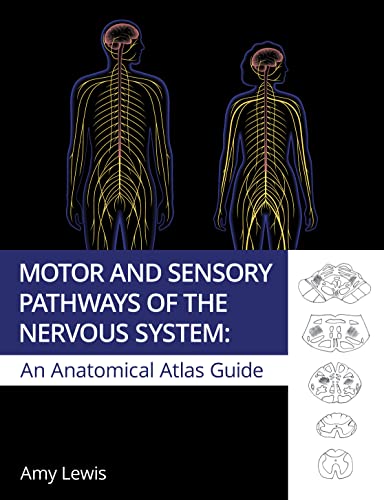 Motor And Sensory Pathways Of The Nervous System: An Anatomical Atlas ...