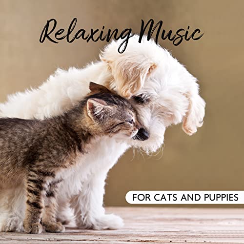 Relaxing Music for Cats and Puppies: Calm Down Stressed or Anxious Cats ...