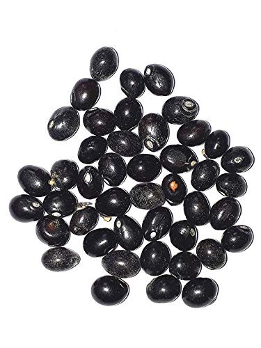 Saptraag 21 Pc - Pure Rare Chirmi Seeds - Black Gunja Chirmi Gurinvida ...